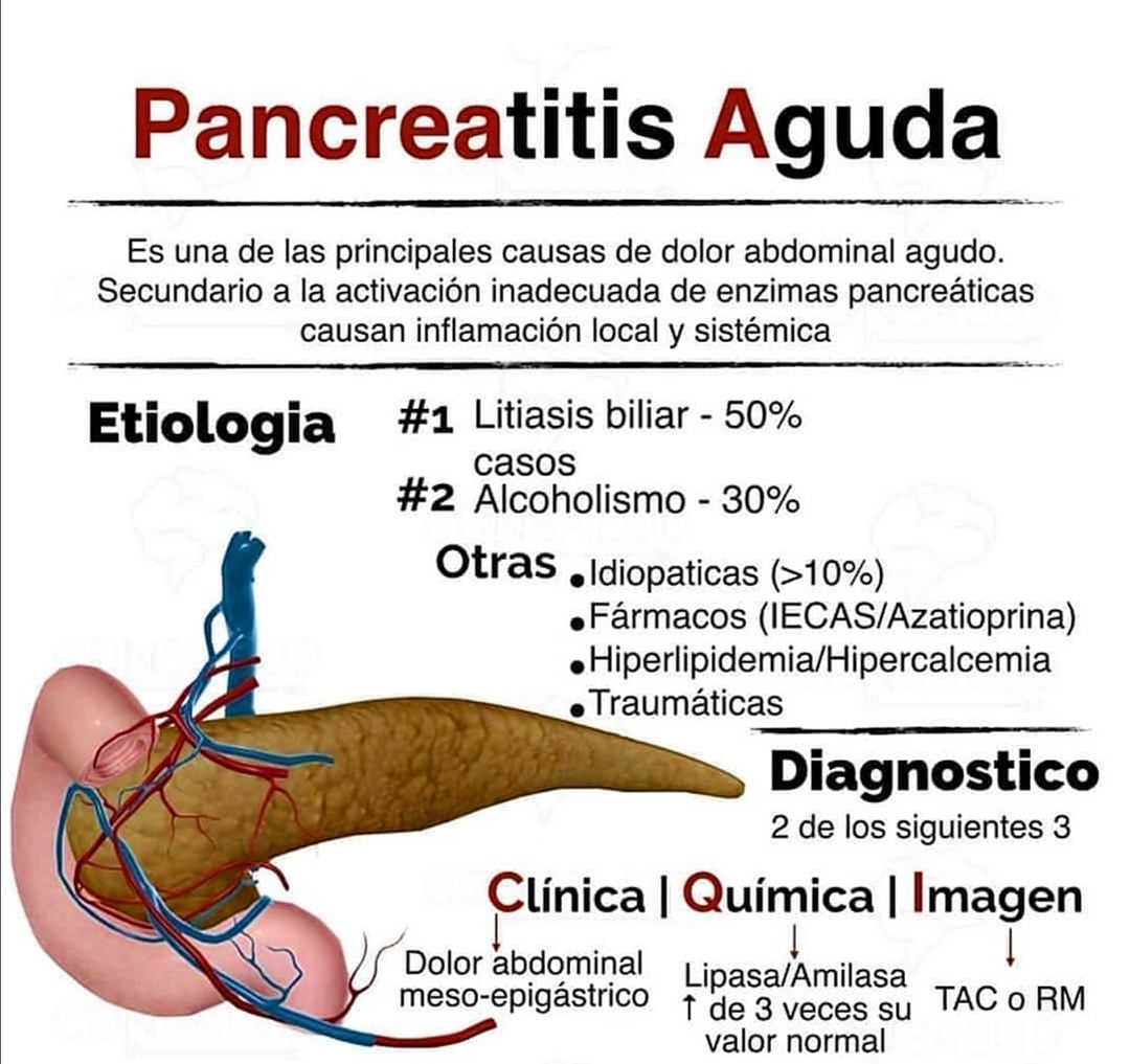 Diferencia entre amilasa y lipasa - PEDIAEXPERTOS