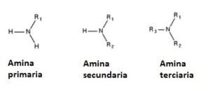 Diferencia entre aminas primarias secundarias y terciarias - PEDIAEXPERTOS