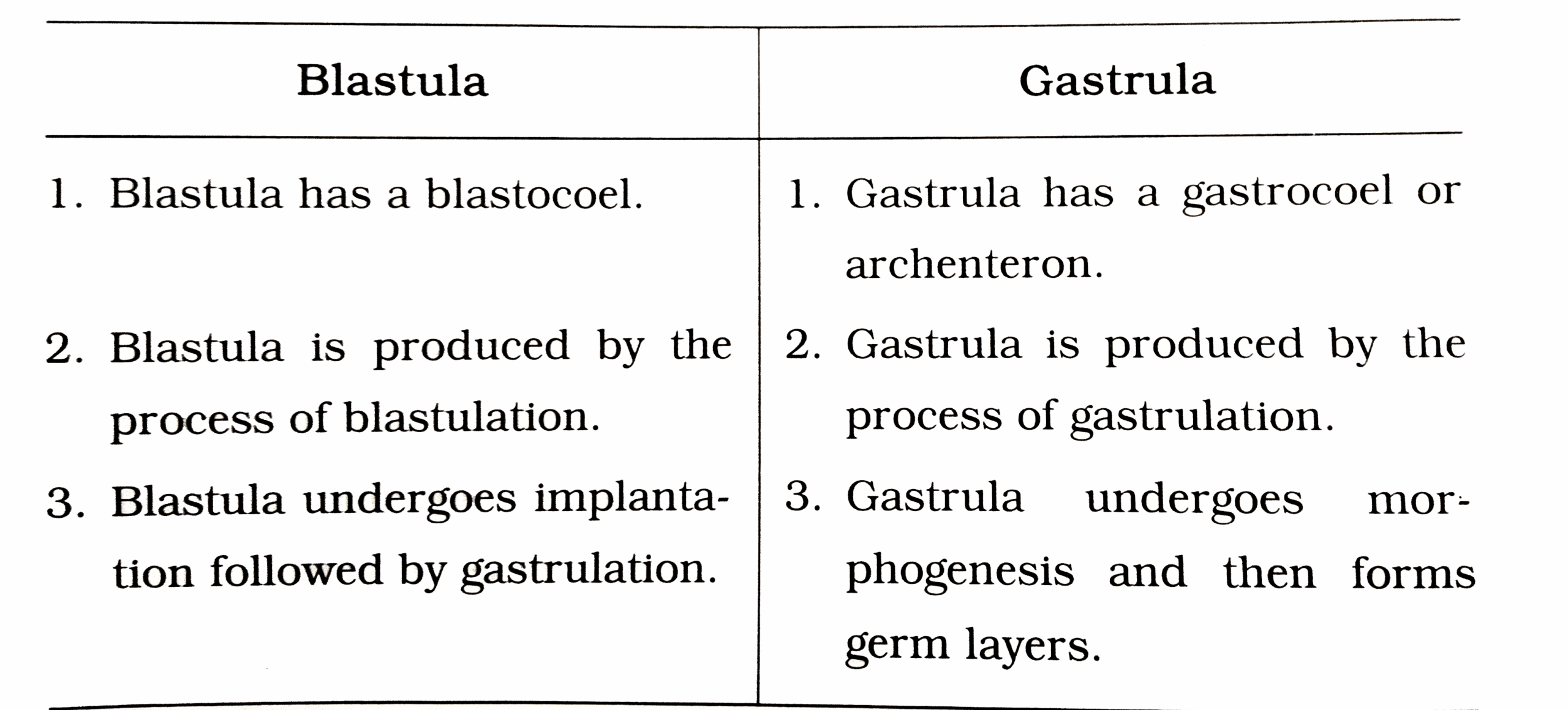 Diferencia entre blástula y gástrula - PEDIAEXPERTOS