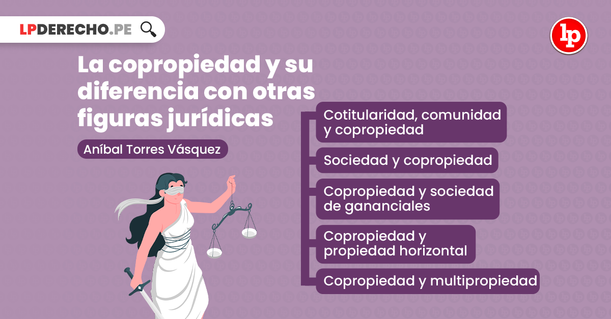 Diferencia entre copropiedad y copropiedad en común - PEDIAEXPERTOS