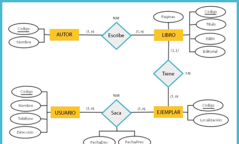Diferencia entre entidad y relación en un DBMS - PEDIAEXPERTOS