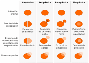Diferencia entre especiación alopátrica simpátrica y parapátrica ...