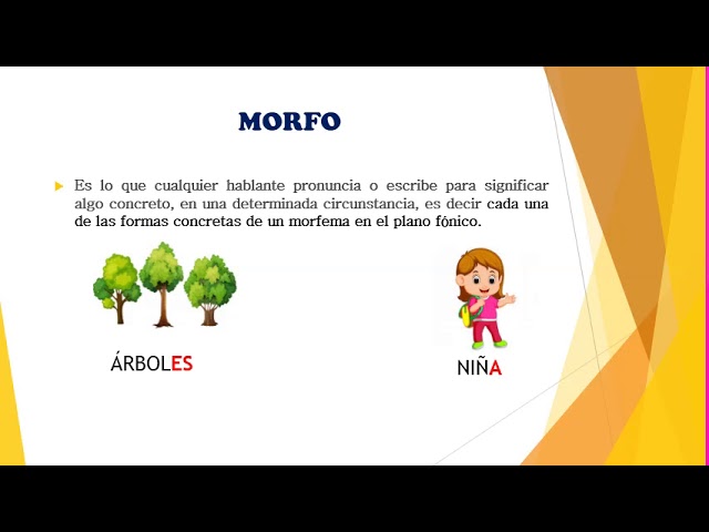 Diferencia entre morfema y alomorfo - PEDIAEXPERTOS