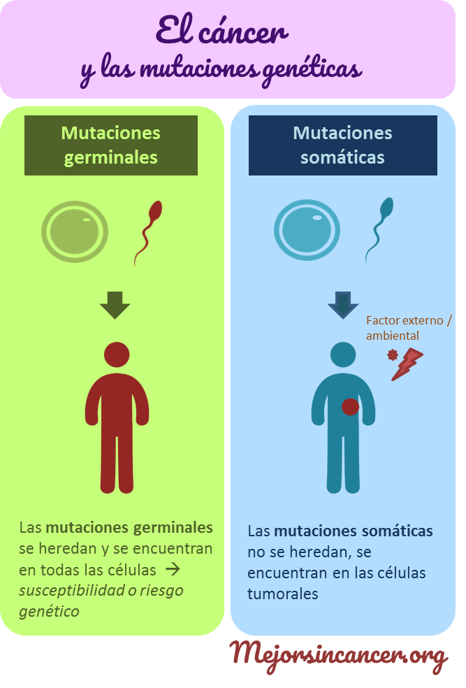 Diferencia entre mutación germinal y somática - PEDIAEXPERTOS