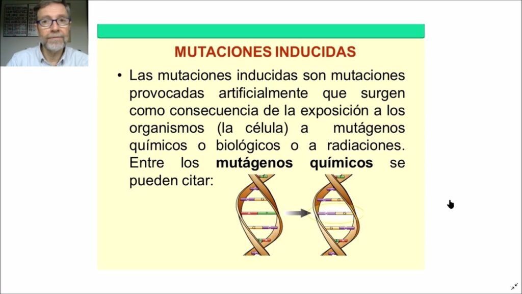 Diferencia entre mutación inducida y espontánea - PEDIAEXPERTOS