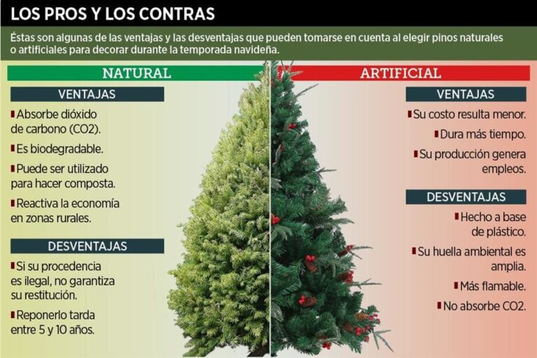Diferencia entre un pino y un árbol de Navidad - PEDIAEXPERTOS
