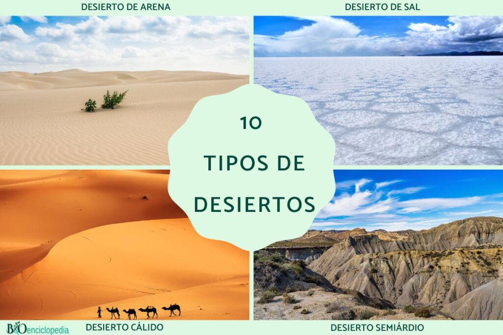 Diferencia entre desierto caliente y desierto frío - PEDIAEXPERTOS