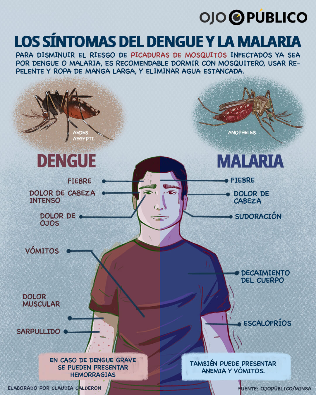 Diferencia entre el dengue y la malaria - PEDIAEXPERTOS