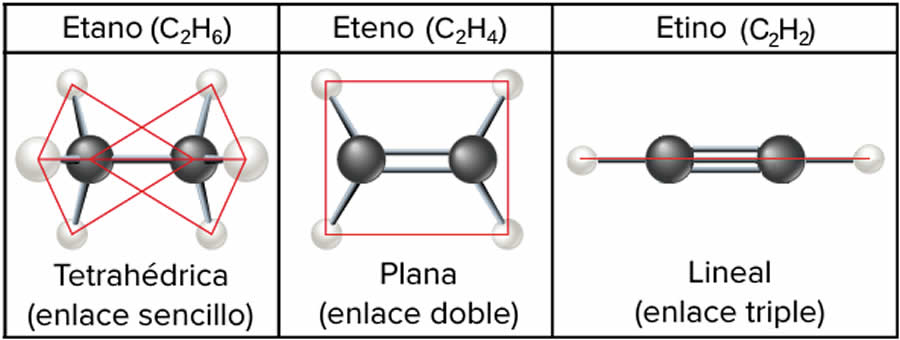 Diferencia entre etano y eteno - PEDIAEXPERTOS