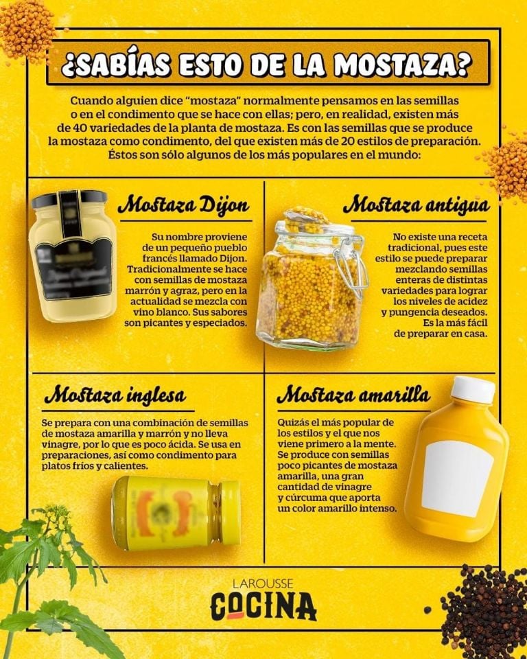 Diferencia entre la mostaza de Dijon y la mostaza amarilla - PEDIAEXPERTOS