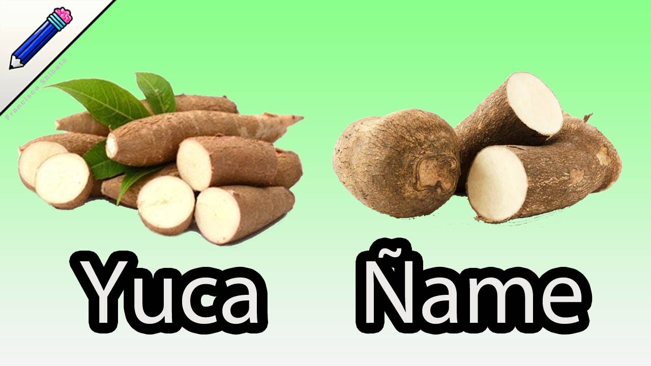 Diferencia entre la yuca y el ñame - PEDIAEXPERTOS