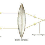 Diferencia entre períodos y grupos - PEDIAEXPERTOS