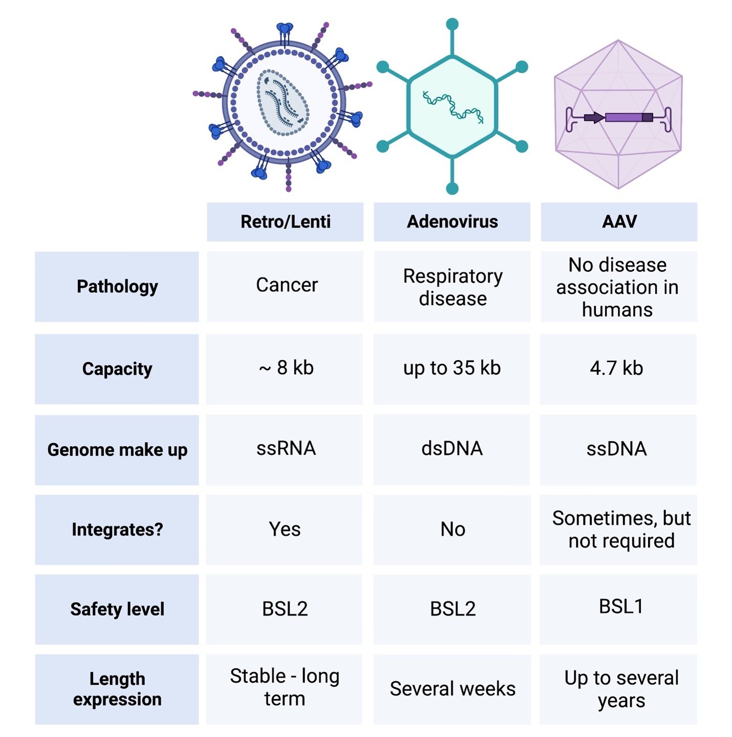 Diferencia entre lentivirus y retrovirus - PEDIAEXPERTOS