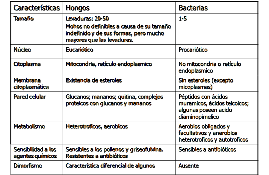 Diferencia Entre Levaduras Y Bacterias PEDIAEXPERTOS Diferencia Entre Levaduras Y Bacterias PEDIAEXPERTOS