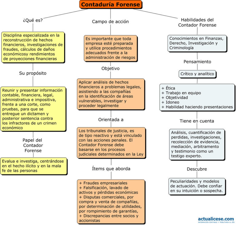 ¿Qué es la contabilidad forense? - PEDIAEXPERTOS